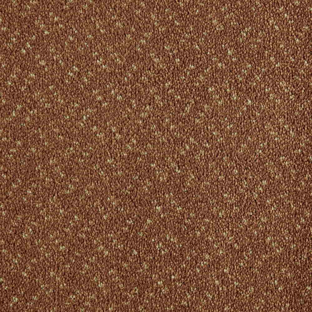CFS Scala Solutions Classic Carpet | TradeChoice Carpet & Flooring