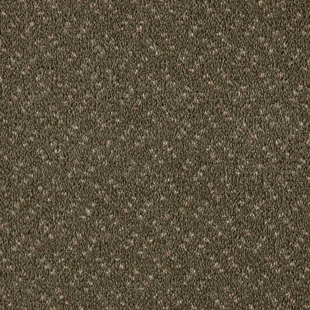 CFS Scala Solutions Classic Carpet | TradeChoice Carpet & Flooring