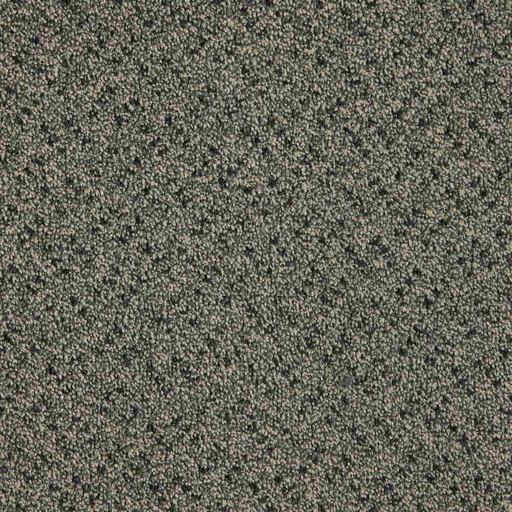 CFS Scala Solutions Classic Carpet | TradeChoice Carpet & Flooring