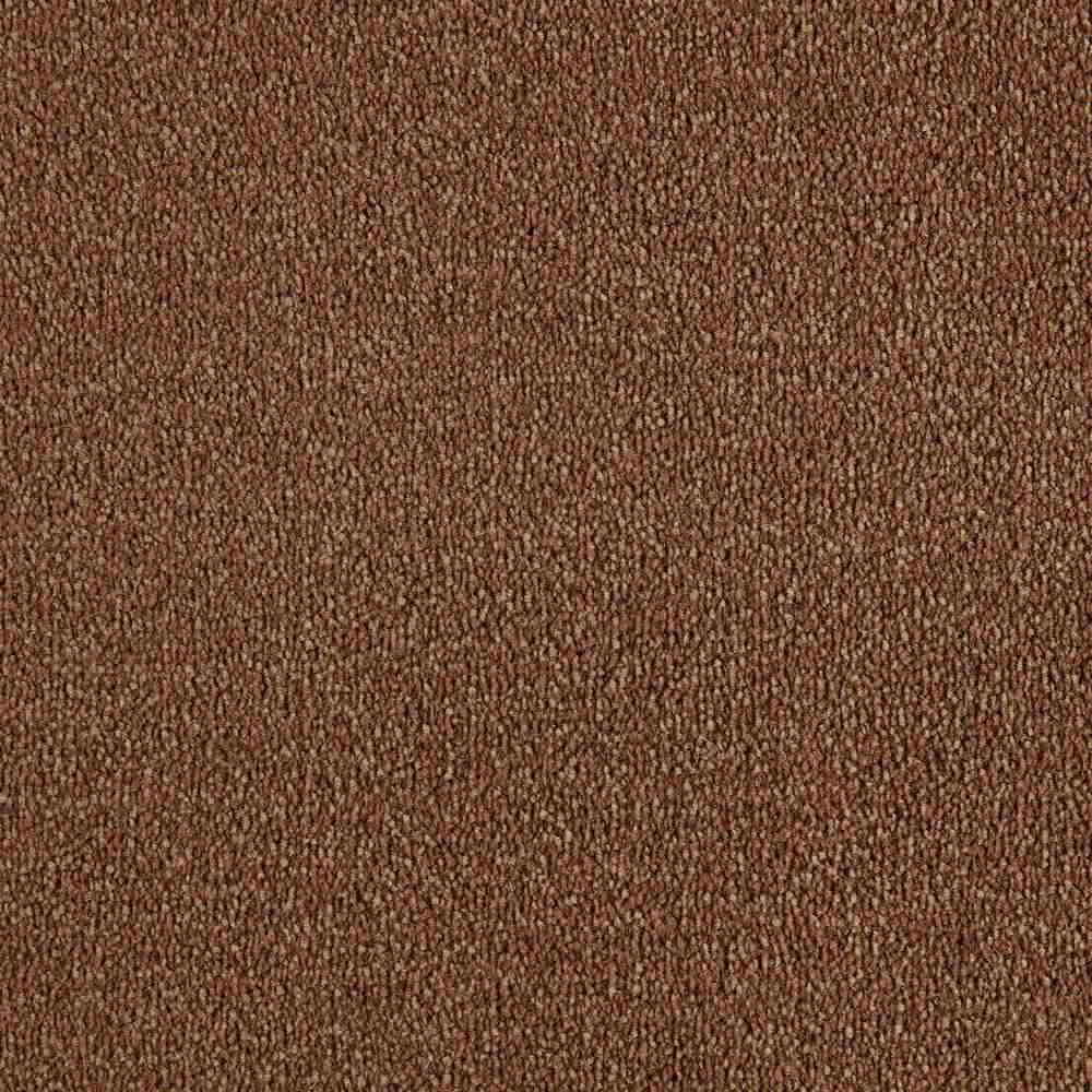 CFS Scala Solutions Plain Carpet | TradeChoice Carpet & Flooring