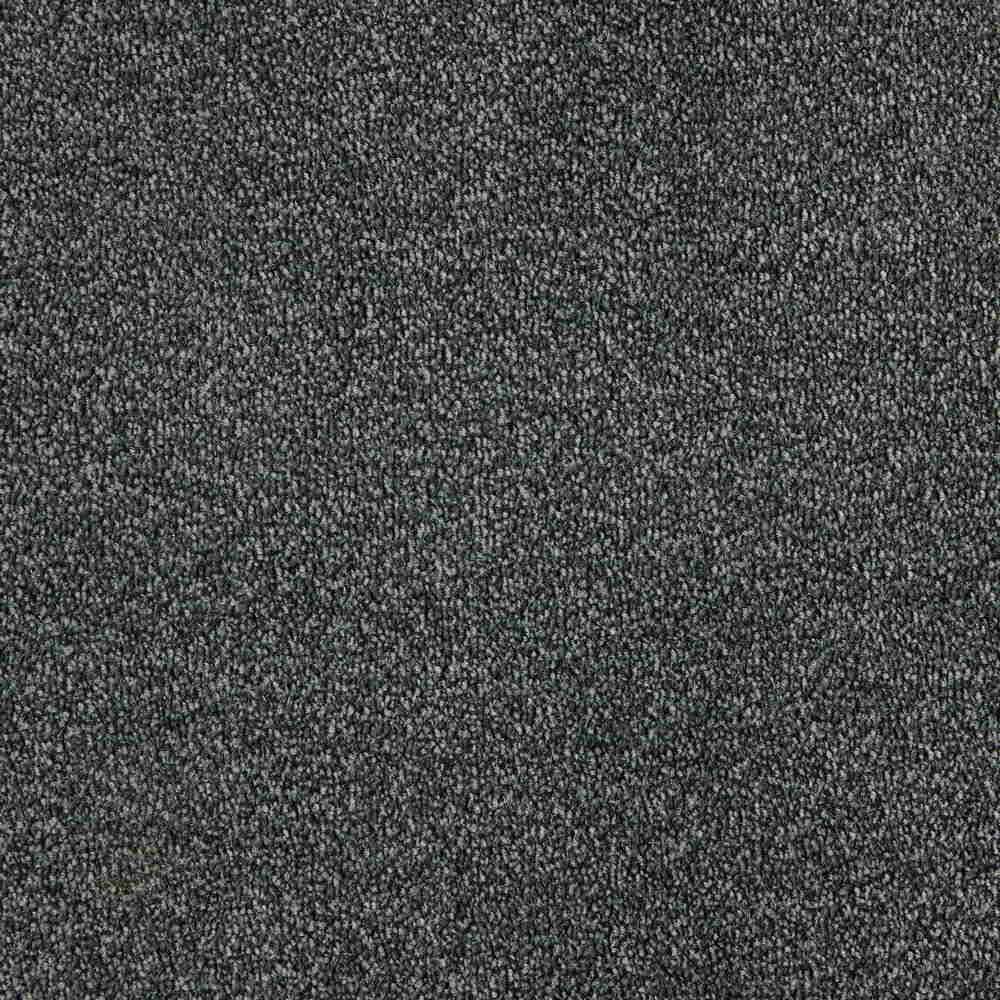 CFS Scala Solutions Plain Carpet | TradeChoice Carpet & Flooring