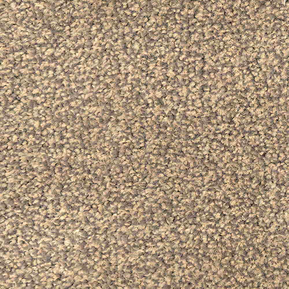 CFS Scala Solutions Plain Carpet | TradeChoice Carpet & Flooring