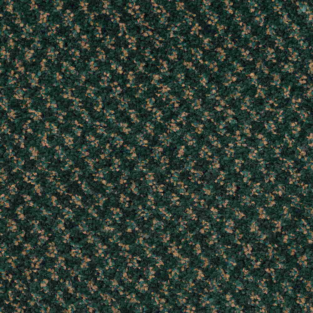 CFS Superior Care Carpet | TradeChoice Carpet & Flooring