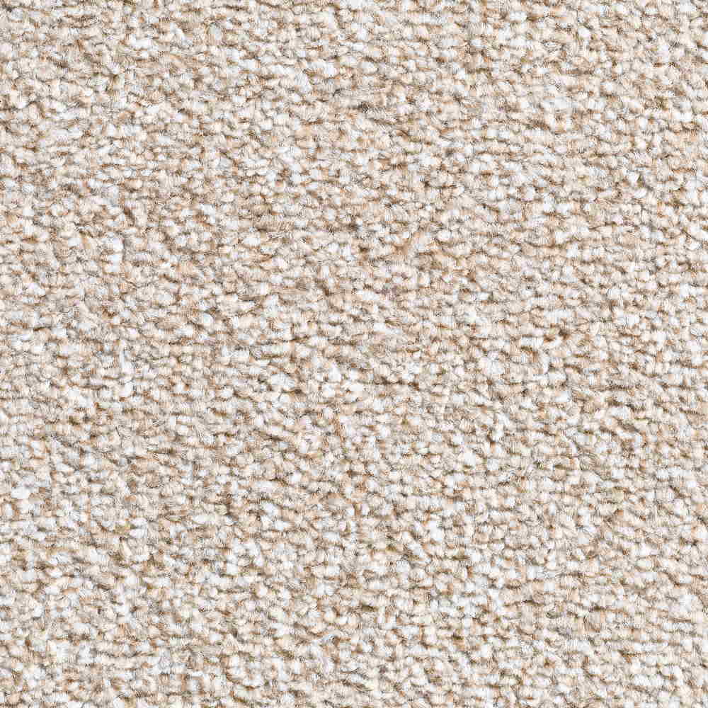 Condor Carpets Lazio Heather Carpet | TradeChoice Carpet & Flooring