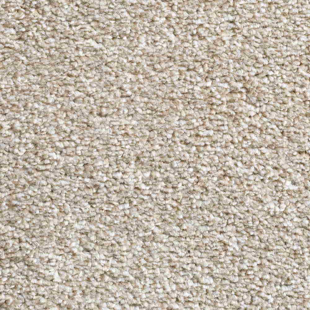 Condor Carpets Lazio Heather Carpet | TradeChoice Carpet & Flooring