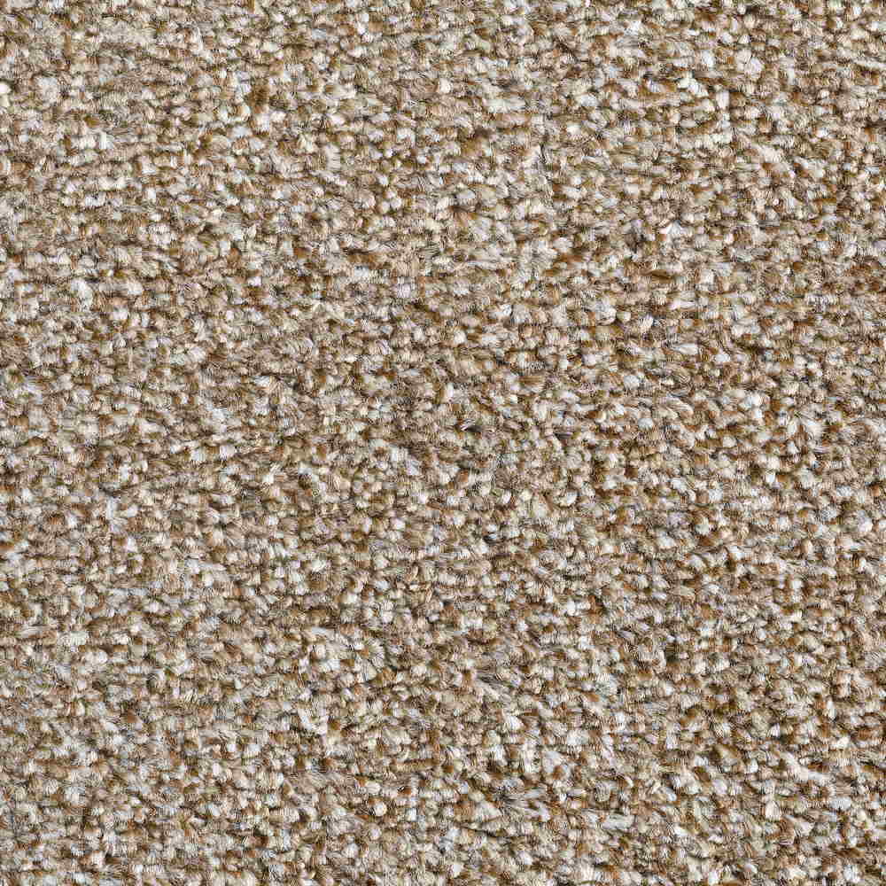 Condor Carpets Lazio Heather Carpet | TradeChoice Carpet & Flooring