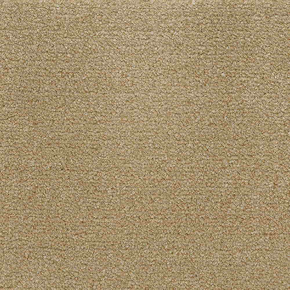 Condor Carpets Revolution Carpet | TradeChoice Carpet & Flooring