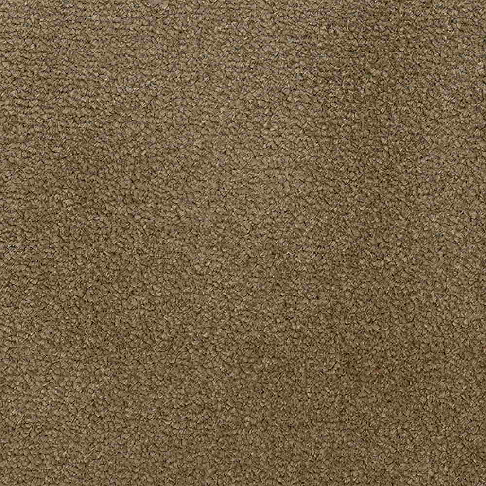 Condor Carpets Revolution Carpet | TradeChoice Carpet & Flooring