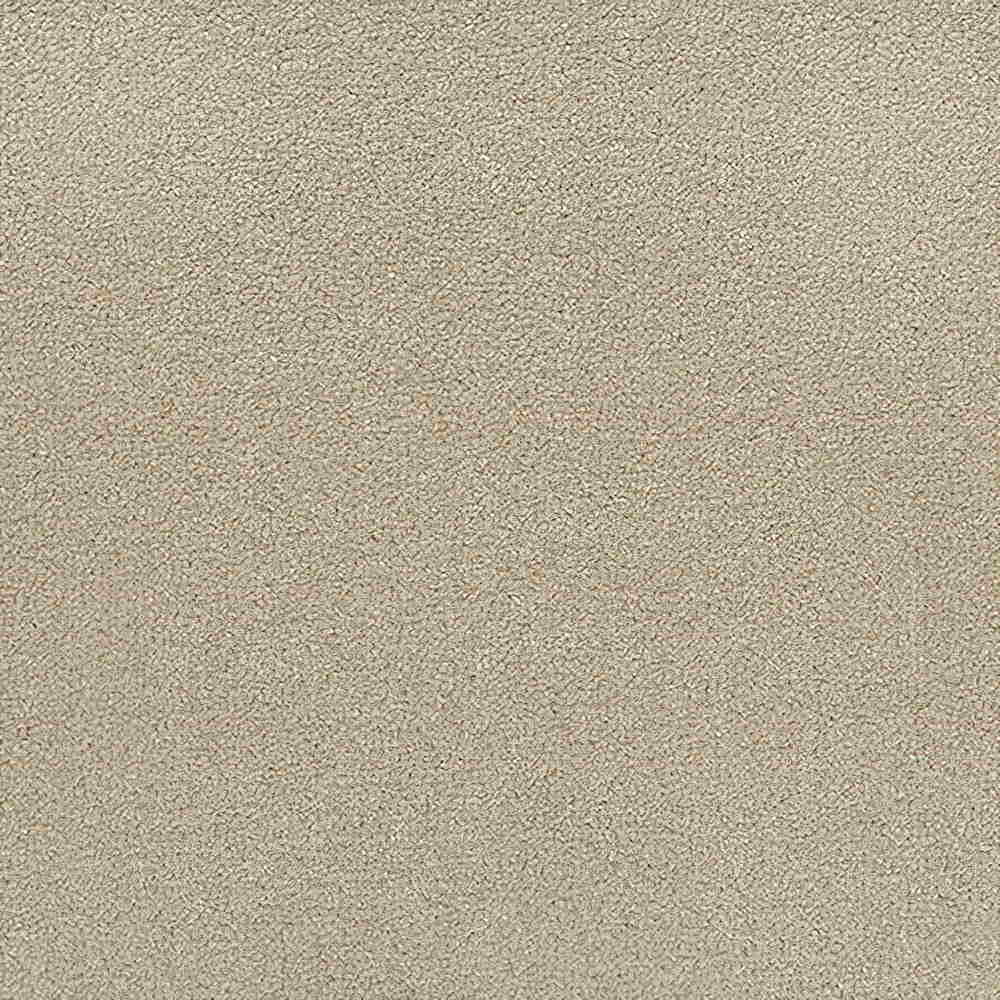 Condor Carpets Revolution Carpet | TradeChoice Carpet & Flooring