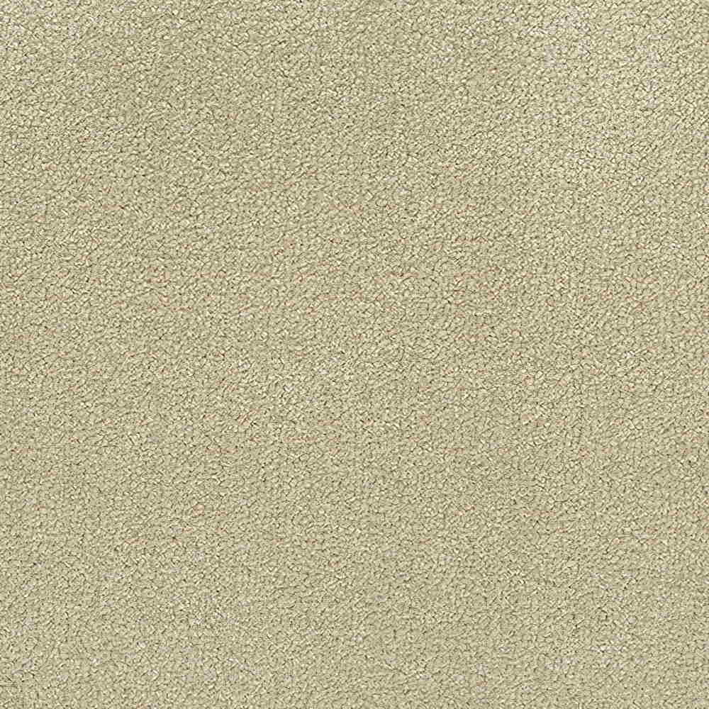 Condor Carpets Revolution Carpet | TradeChoice Carpet & Flooring