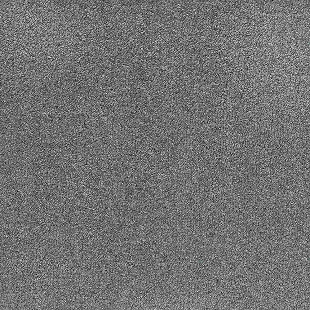 Condor Carpets Revolution Carpet | TradeChoice Carpet & Flooring