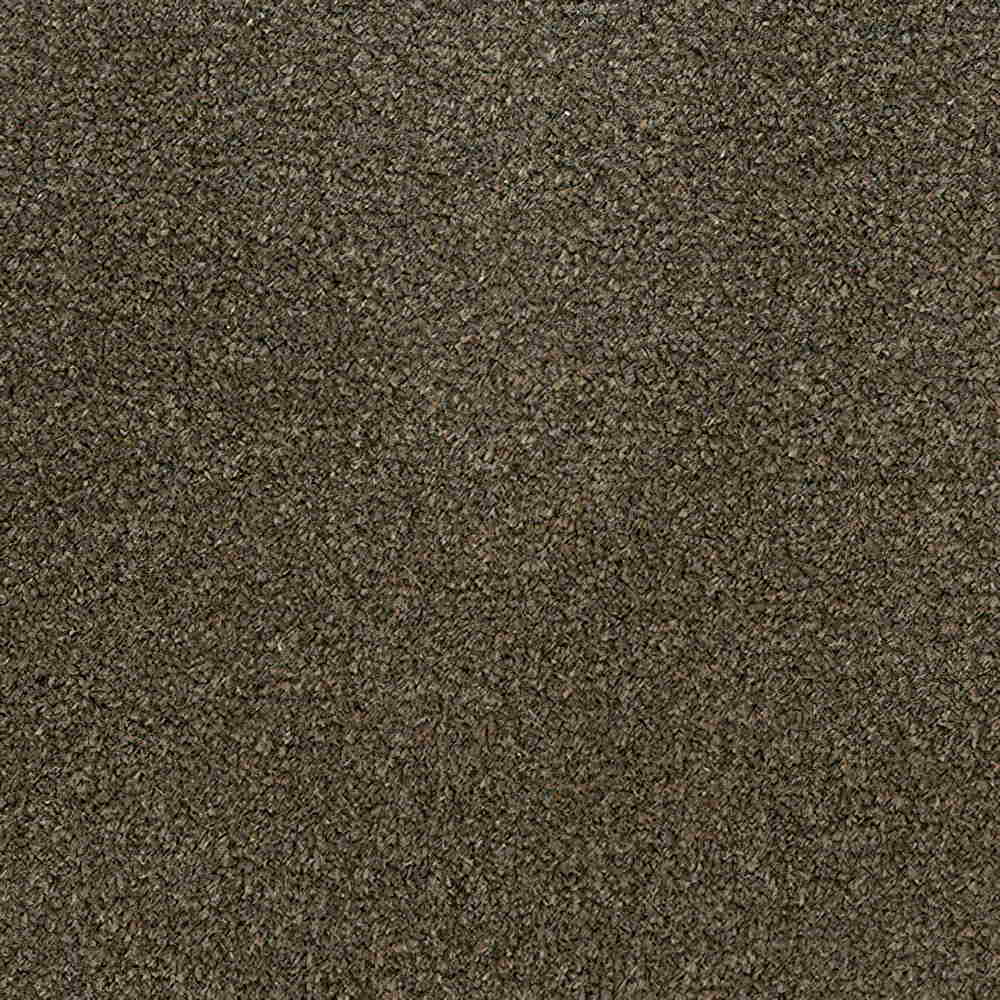 Condor Carpets Revolution Carpet | TradeChoice Carpet & Flooring
