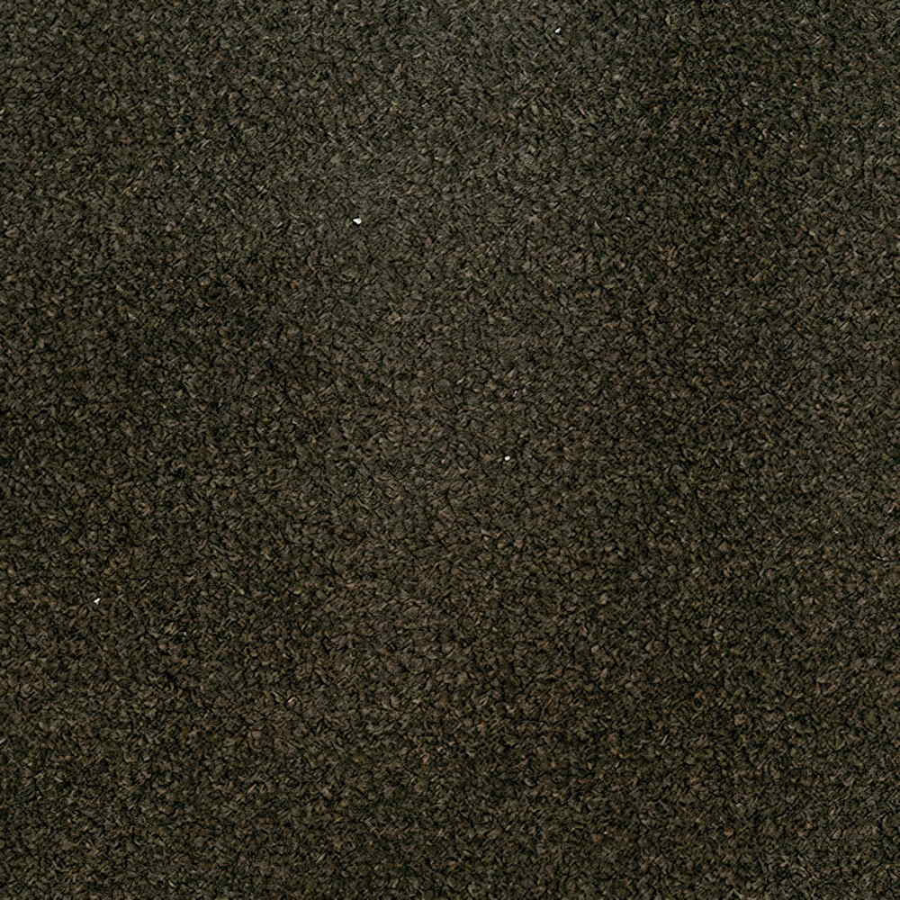 Condor Carpets Revolution Carpet | TradeChoice Carpet & Flooring