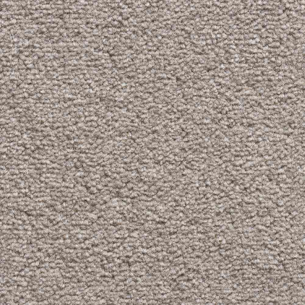 Condor Carpets Revolution Carpet | TradeChoice Carpet & Flooring