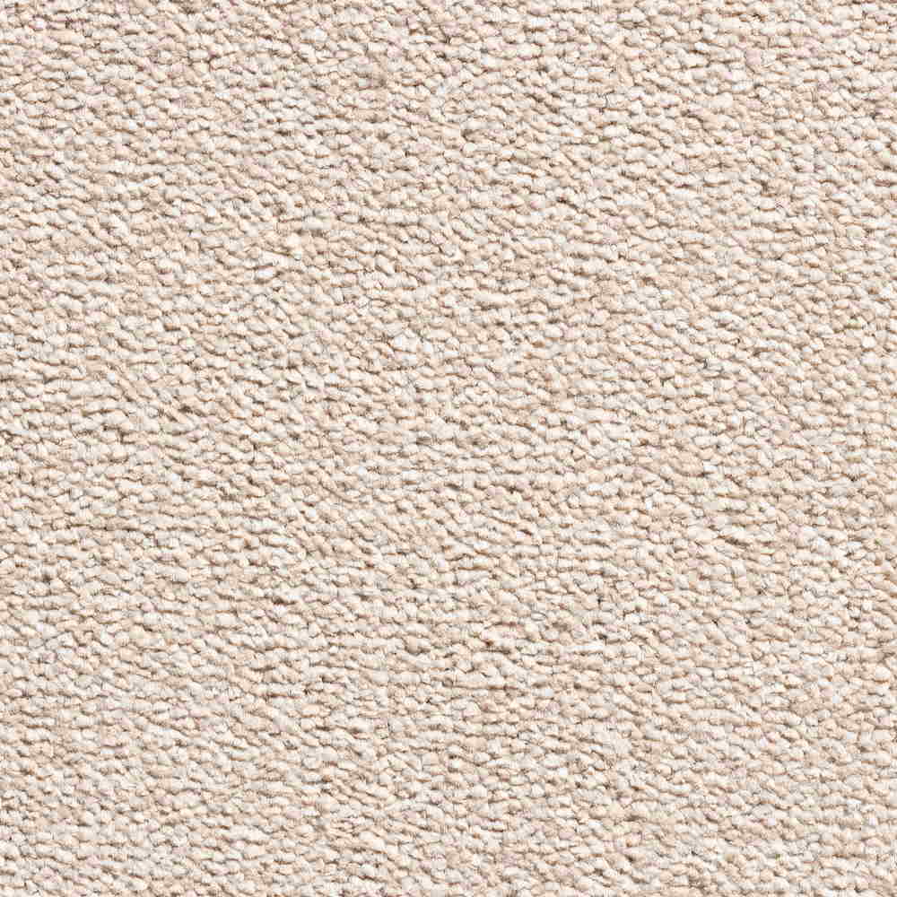 Condor Carpets Revolution Supreme Carpet | TradeChoice Carpet & Flooring