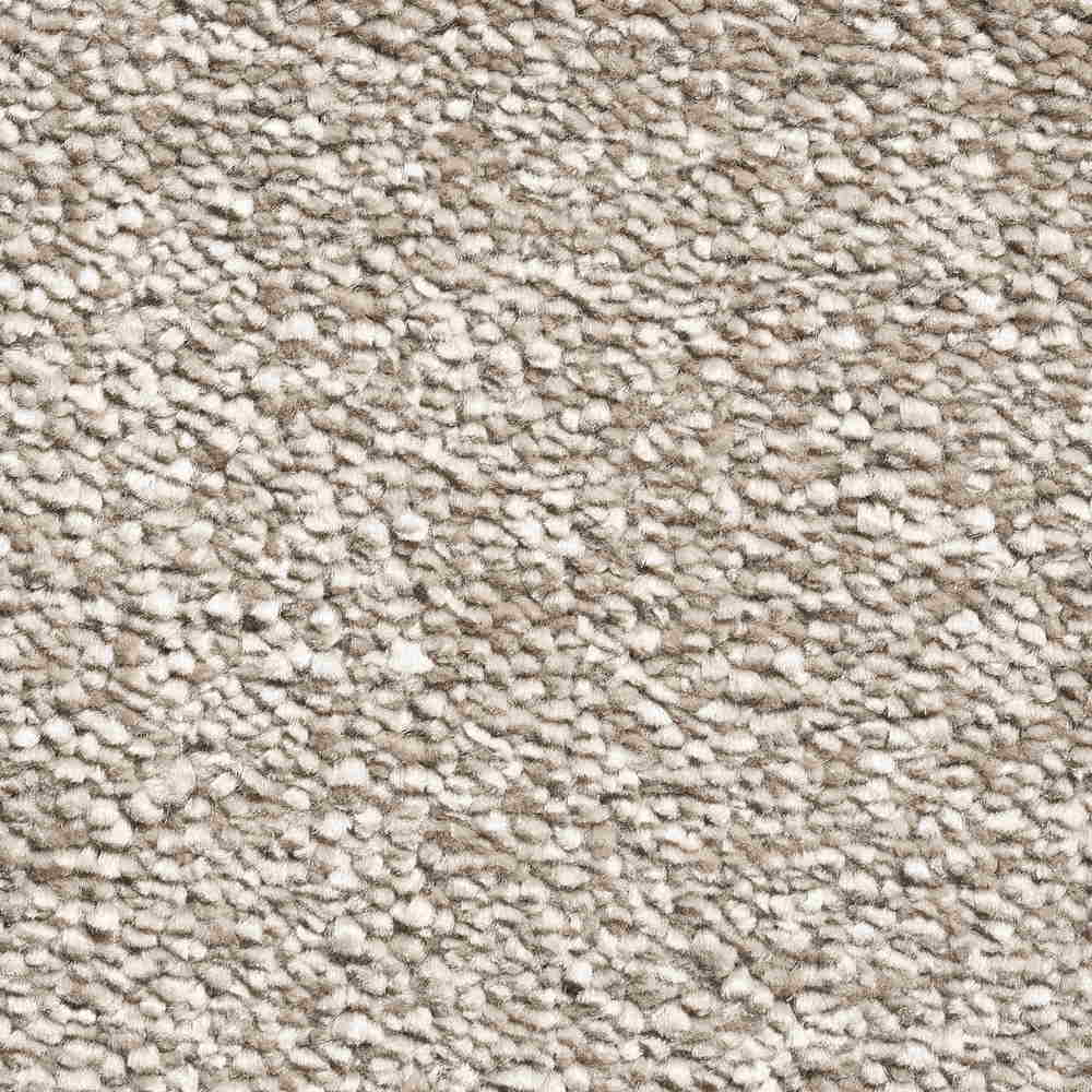Vanguard Sumptuous Saxony Carpet | TradeChoice Carpet & Flooring