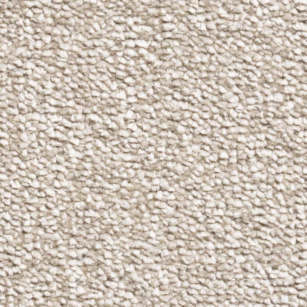 Vanguard Sumptuous Saxony Carpet | TradeChoice Carpet & Flooring