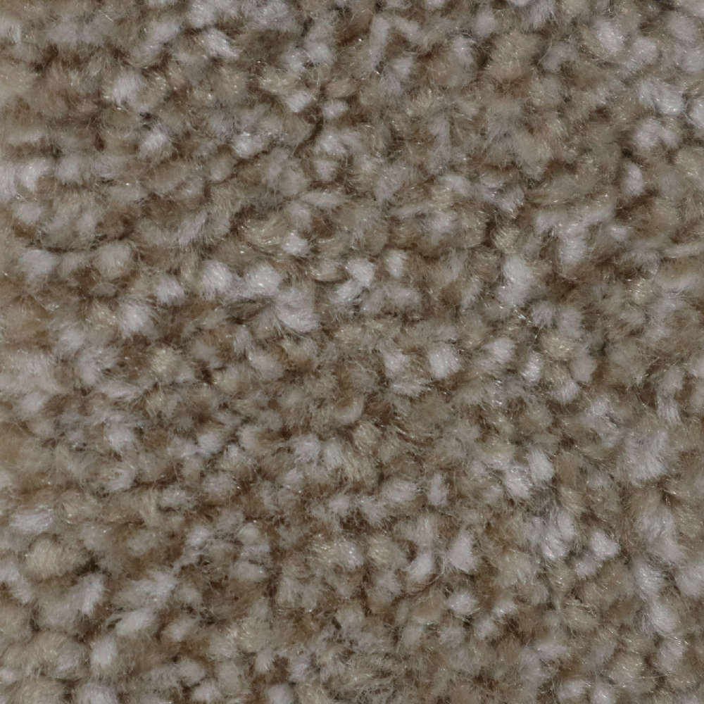 Vanguard Treasure Twist Super Carpet | TradeChoice Carpet & Flooring