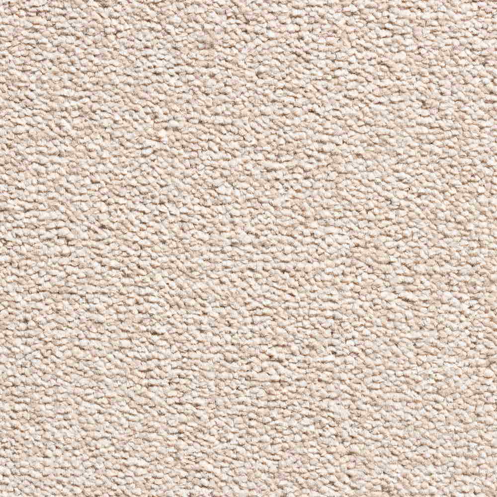 CFS Supreme Velvet Carpet | TradeChoice Carpet & Flooring