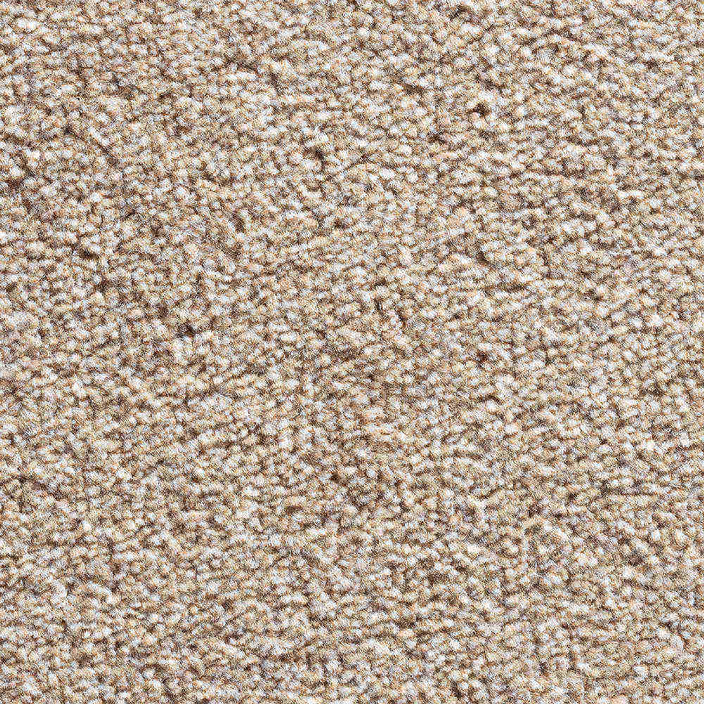 Vanguard Eminence Carpet | TradeChoice Carpet & Flooring