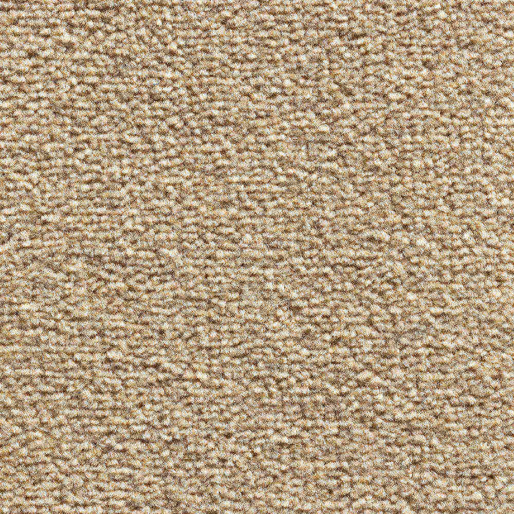 Vanguard Eminence Carpet | TradeChoice Carpet & Flooring