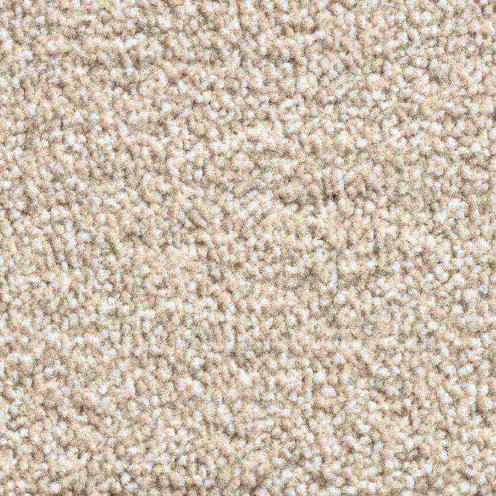 Vanguard Solstice Carpet | TradeChoice Carpet & Flooring