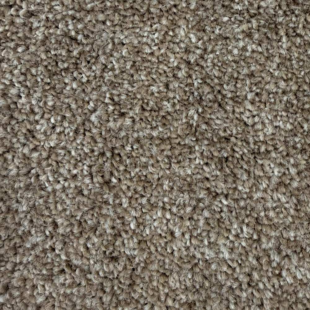 Vanguard Sierra Carpet | TradeChoice Carpet & Flooring
